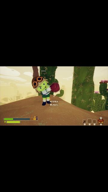 Панда и кактус.