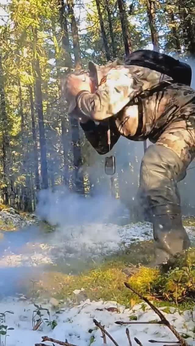 Грибник не ожидал, что его ждёт впереди! Как защищаться от медведя в тайге.