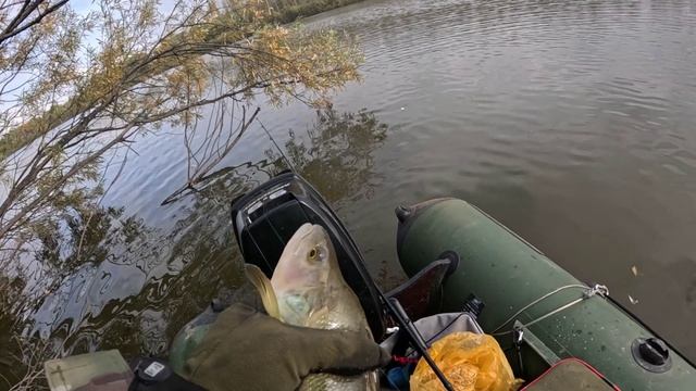 🎣ОКУНЁВЫЙ КОТЛИЩЕ ЧЕТВЕРТЫЙ СЕНТЯБРЬ 2025🎣fishing#туризм#природа#ловля#рыбалка#щука#ловлящуки#