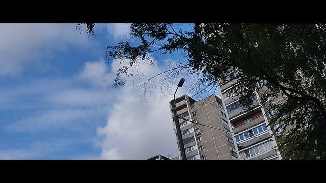 Мы идём гулять с собакой! | 13-авг-2024, 4