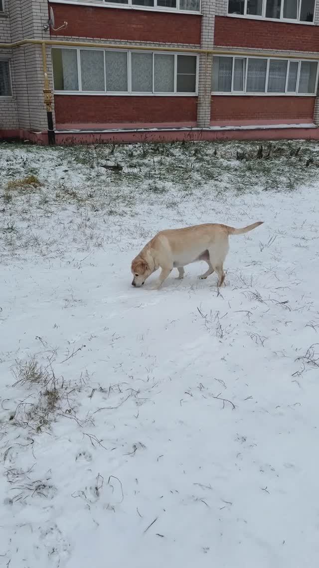 Ульзана anzl.ru - Следопыт.