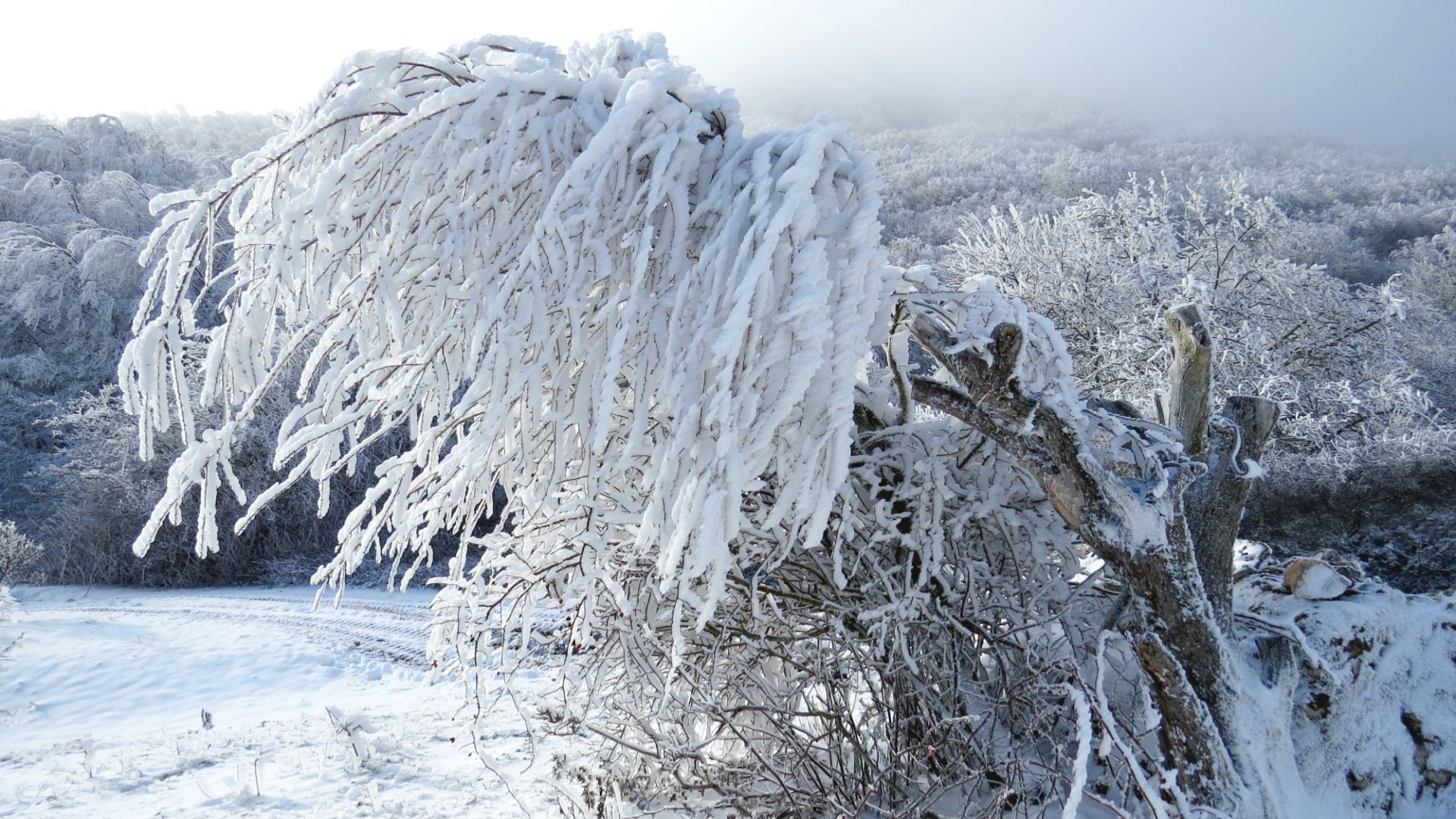 В горы за снегом! Крым.