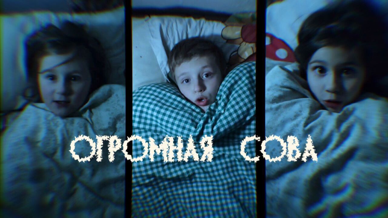 Огромная сова (2025 XII 11)