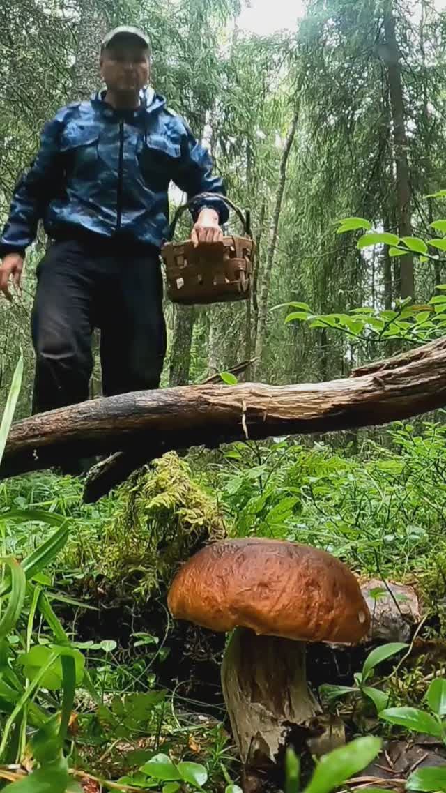 Грибник нашёл в лесу ЭТО и обалдел, такого не ожидал.