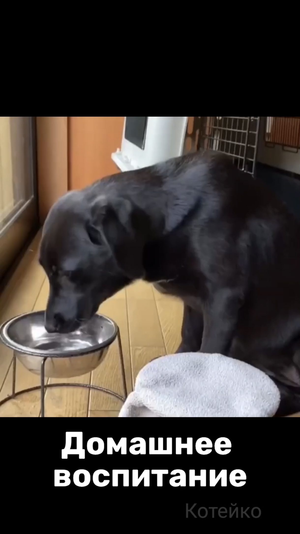 Нас по разному воспитали..😼