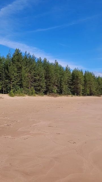 Карелия 2025. Пляжи Видлицы. Июль 2025г (Часть 13)