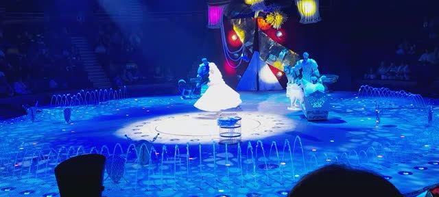 Русская дрессура собак