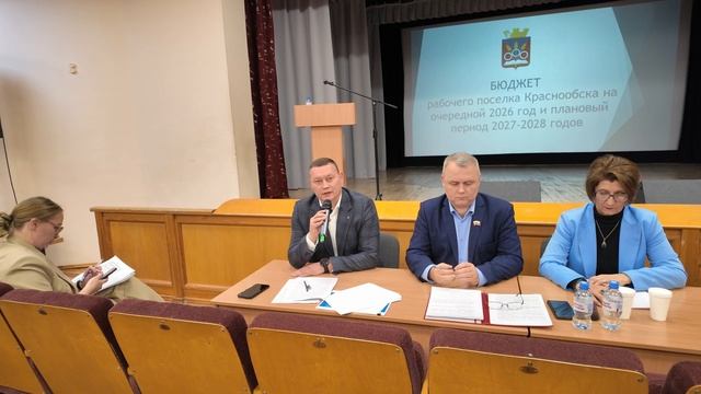 Публичные слушания по бюджету Краснообска 2026
