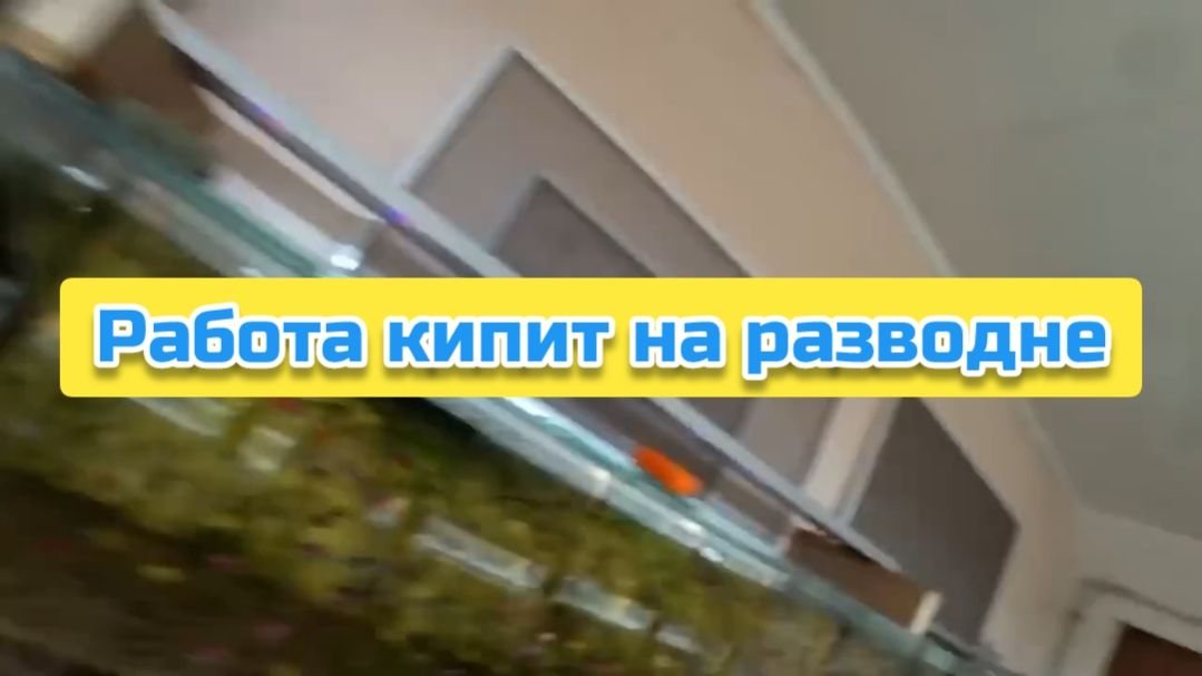 Работа кипит на разводне