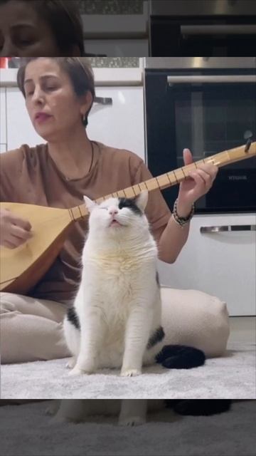 Обожаю эту песню! 😻