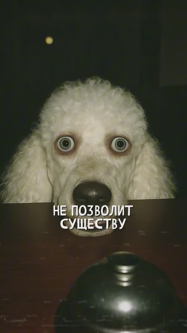 ОТЕЛЬ "КАПИТАЛ". ОБЪЕКТ 324. "Записи об аномалиях от К.О.Н.Т.У.Р." №76, ЗАПИСЬ 048.