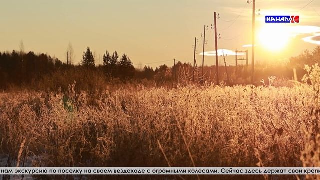 Выпуск от 12.12.2025