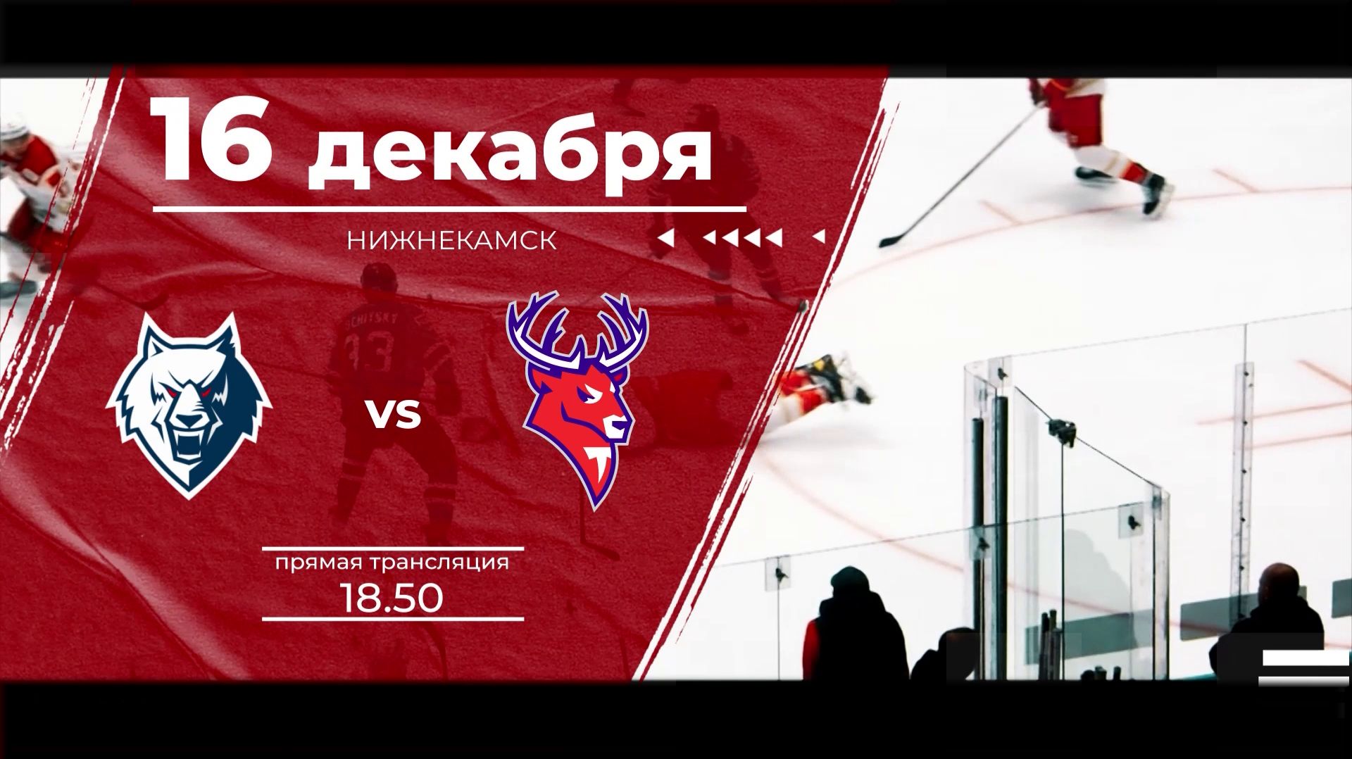 Матч КХЛ "Нефтехимик" - "Торпедо": следите за игрой на телеканале "Нижний Новгород 24" и на "Маяке"