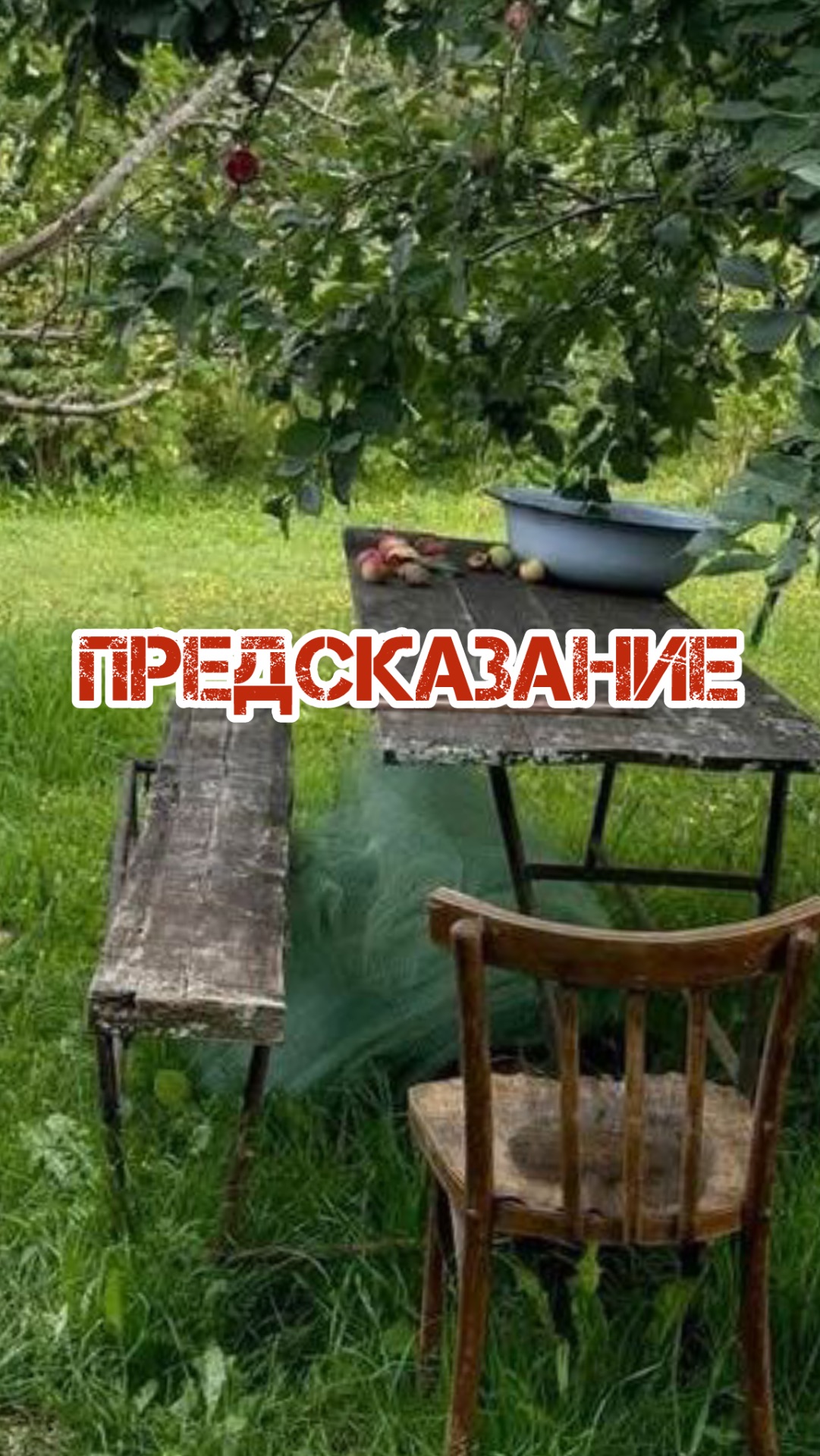 ПРЕДСКАЗАНИЕ