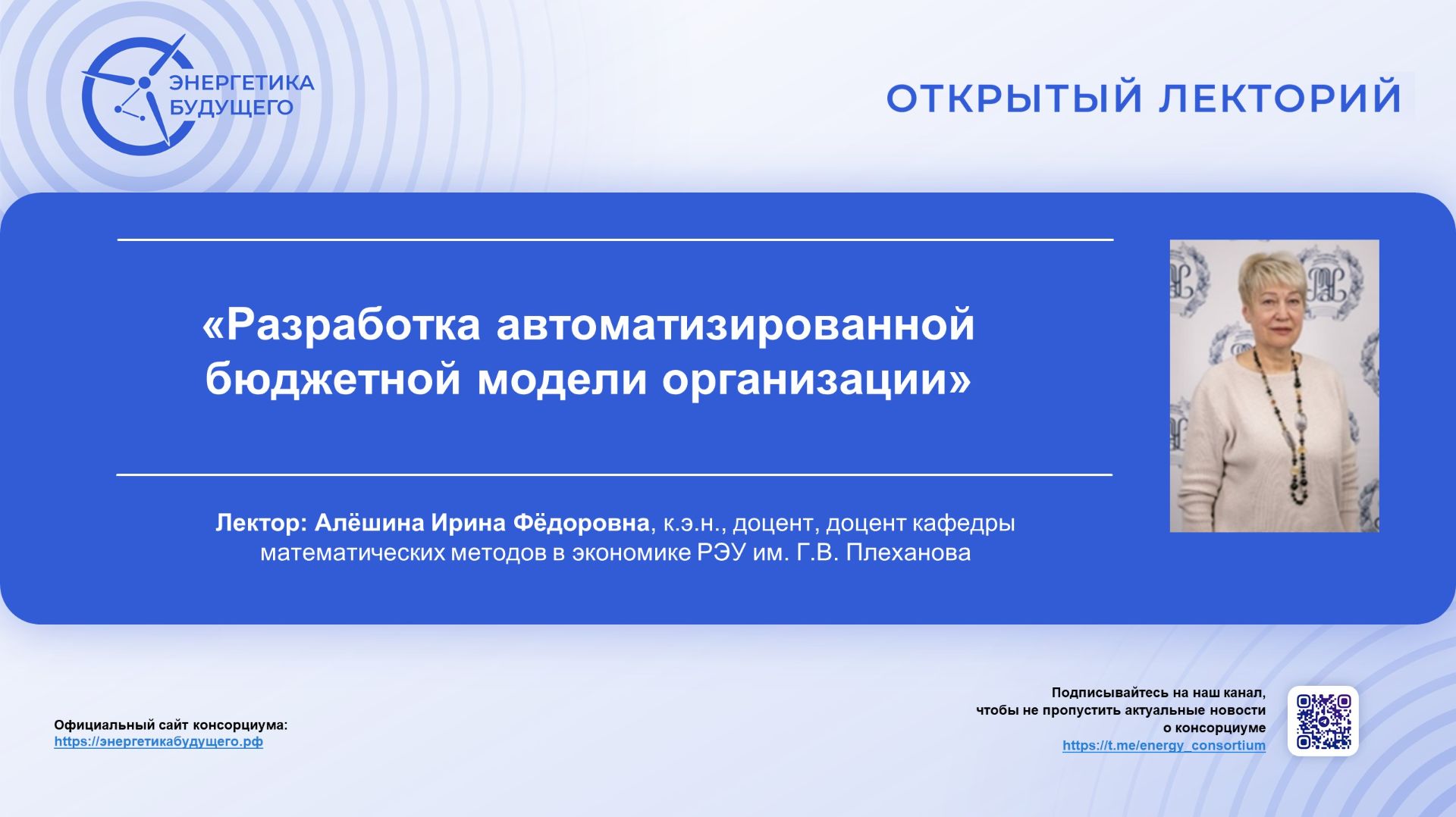 Разработка автоматизированной бюджетной модели организации