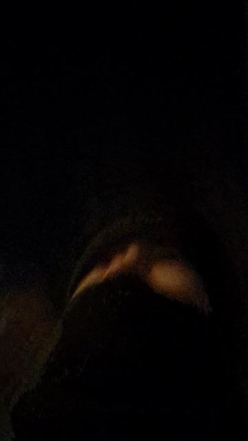 Инфа про выходные