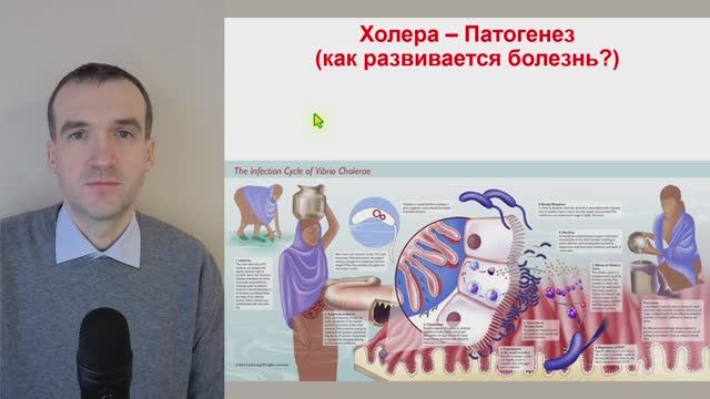 Холера - 6. Патогенез