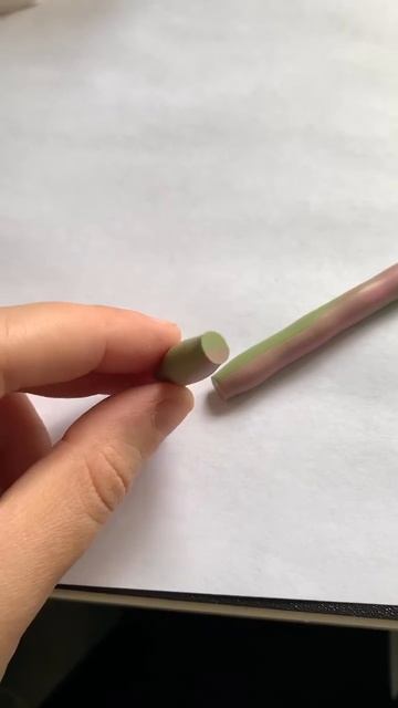 Суккуленты из запекаемой глины