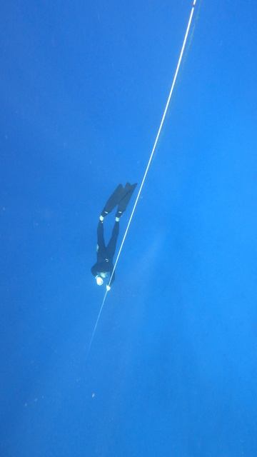 Фридайвинг Каш 2025 1