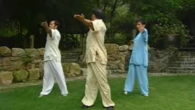 07 Скакать на коне, взмахивая кнутом Ли Чжэн