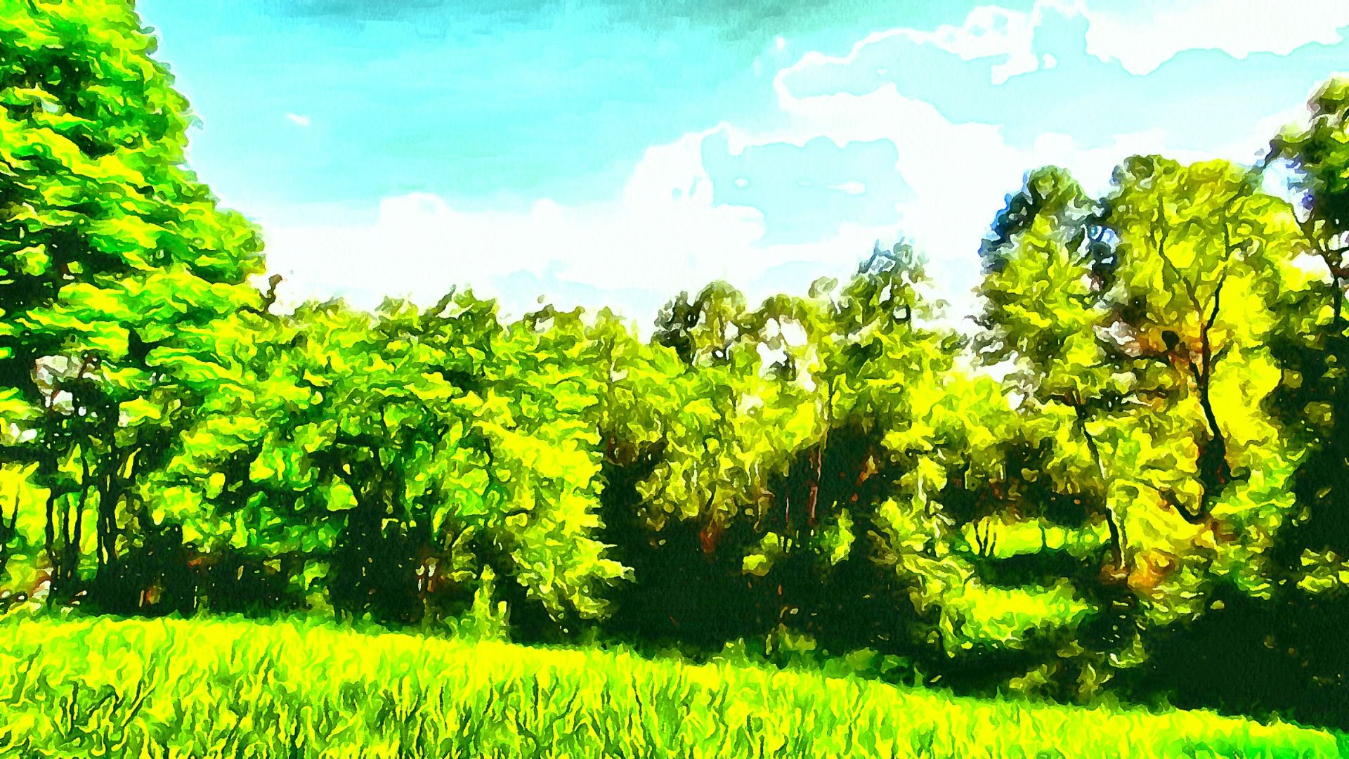 Середина лета