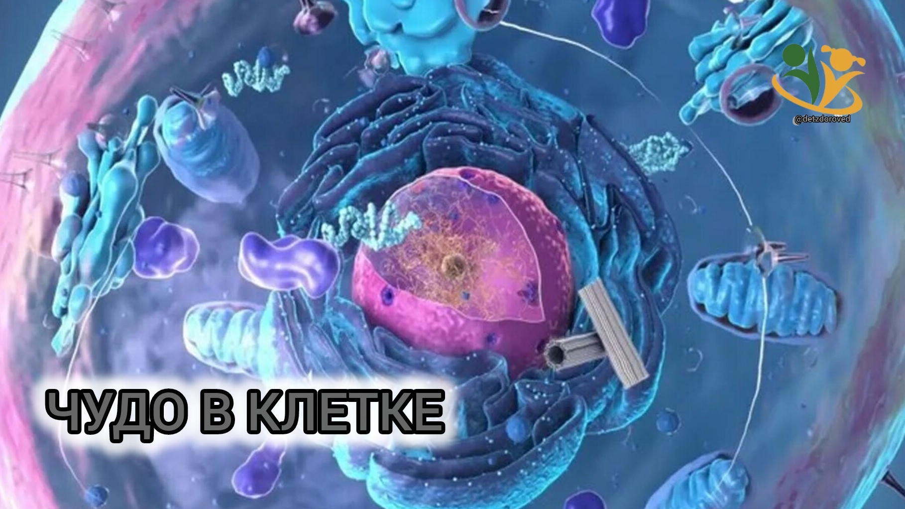 💥Чудо в клетке