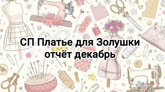 СП Платье для Золушки, отчёт декабрь