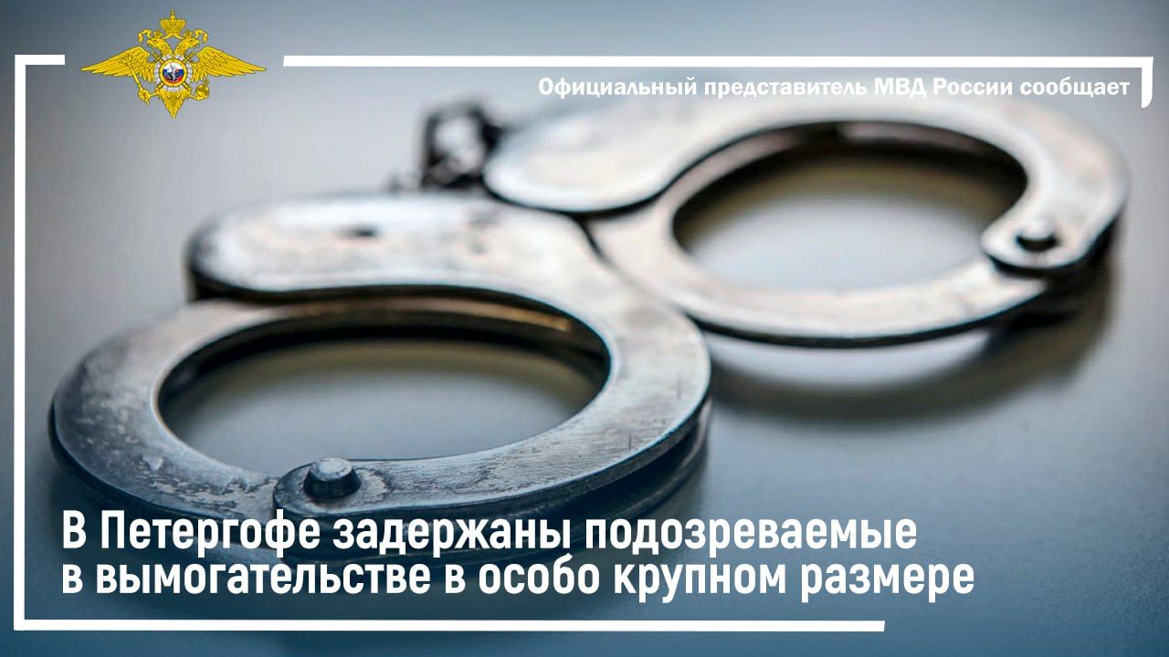 В Петергофе задержаны подозреваемые в вымогательстве в особо крупном размере