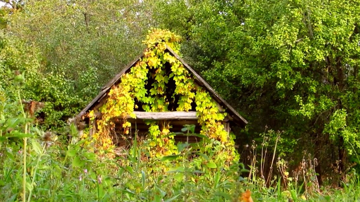 Здесь была деревня Любитово