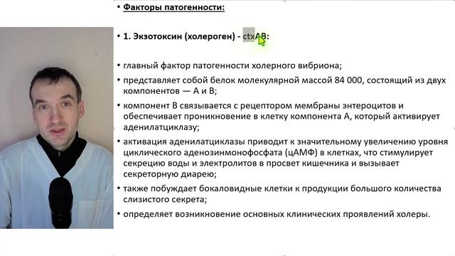 Холера - 4. Этиология