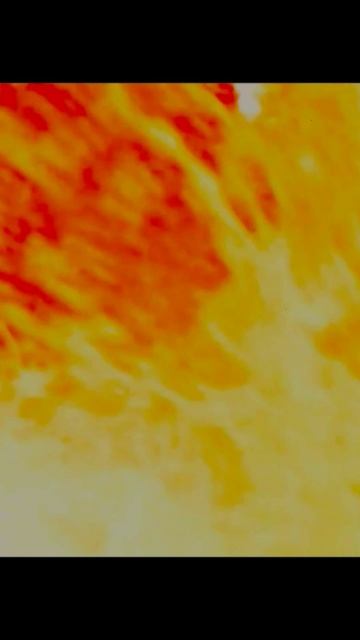 ДАУН СИСТЕМС)) #смех #смешно #смешноевидео