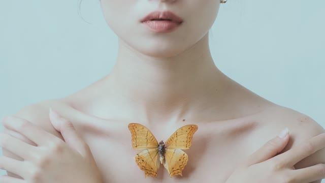 Dionisio Aguado - Etude in E Minor