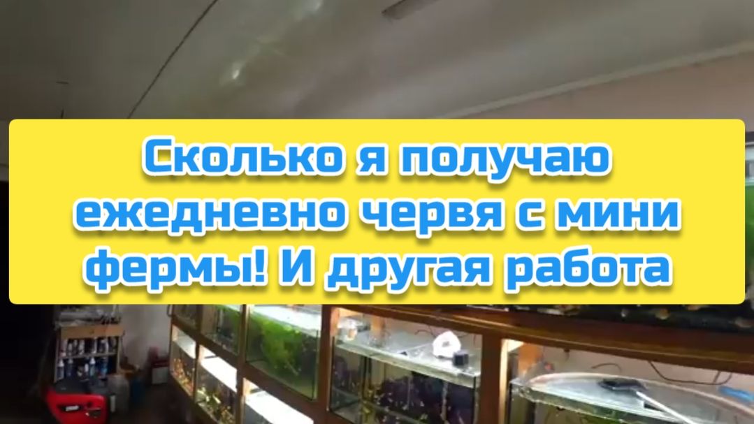 Сколько я получаю ежедневно червя с мини фермы! И другая работа
