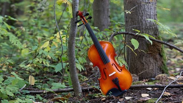 Современная классическая музыка на скрипке  | Ecveezer - Gently Hug and Kiss Me (Violin Version)