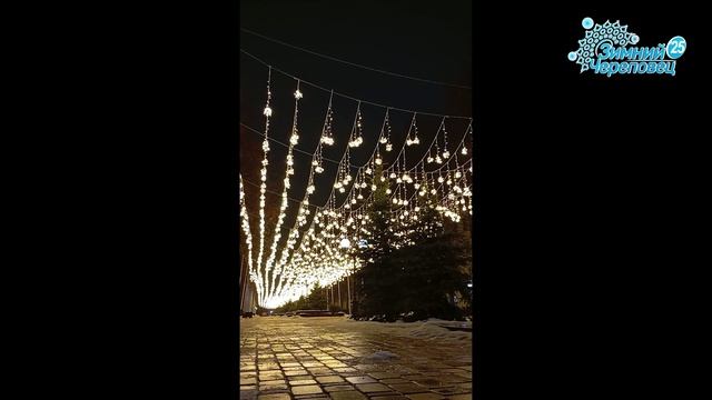 Лебедева Анастасия-Зимний Череповец