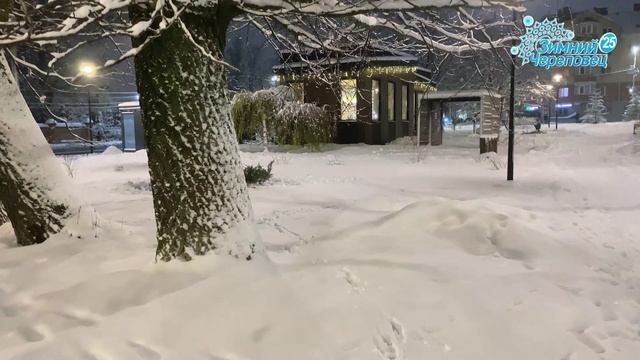 Краева Ирина-Новогодний Череповец