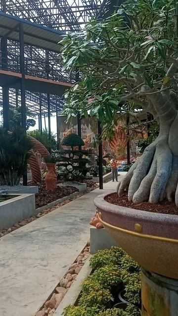 Здесь не бывает «слишком много зелени». Бывает — слишком мало внимания Что скрывает Nong Nooch?