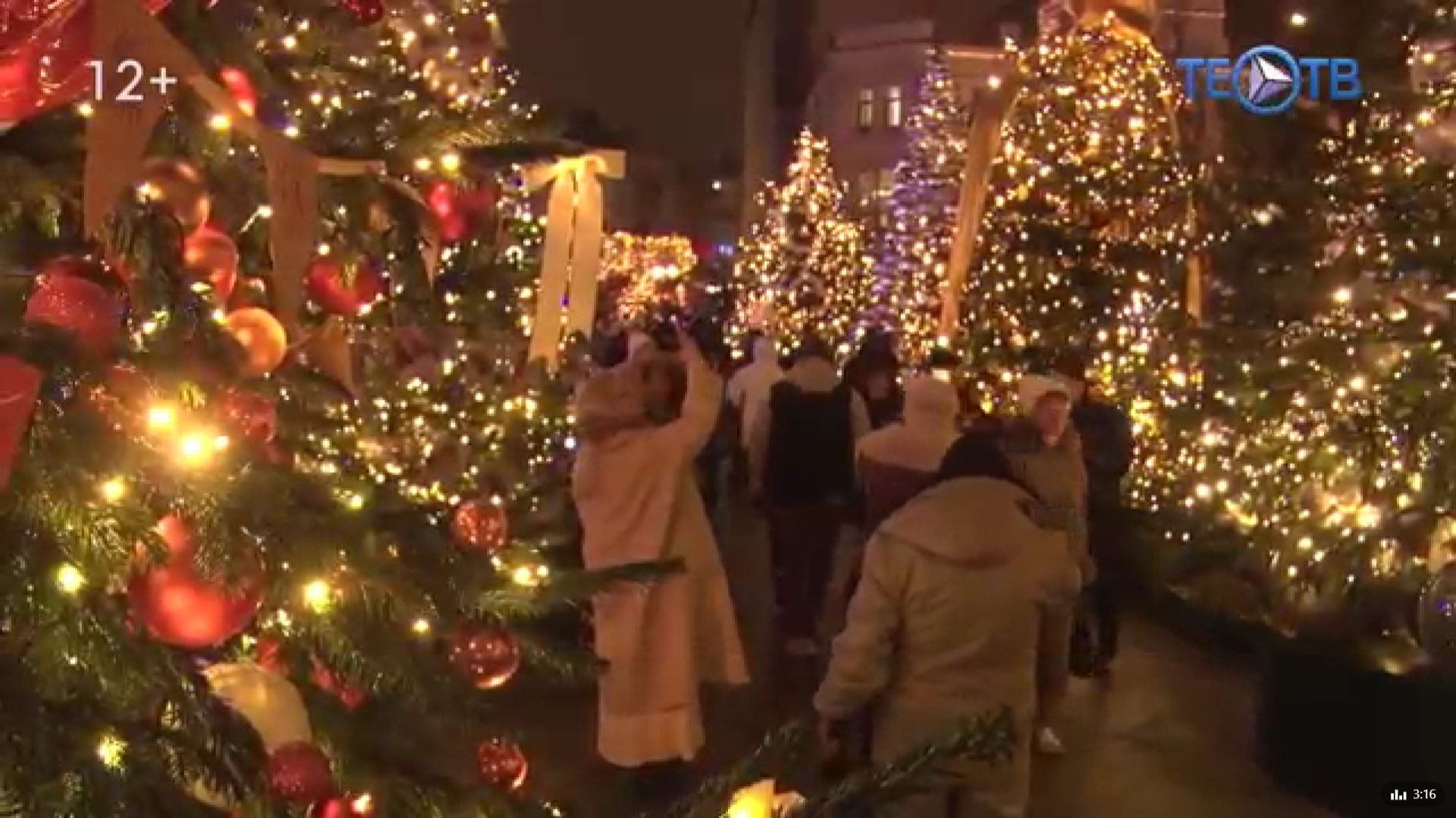 «Звёздные» елки украсили Москву!
