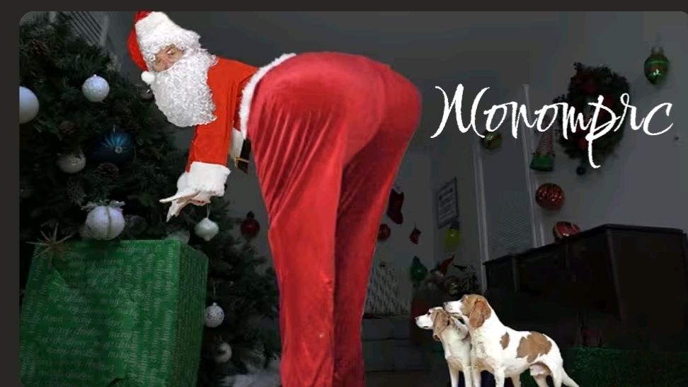 Новогодний переполох