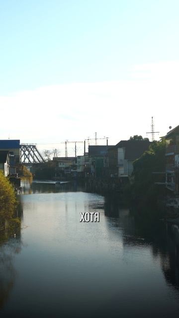 ЗАЧЕМ НУЖНА ЖЕНА #сочи #риэлтор сочи #дагомыс #чайные холмы #семейная ипотека #жить в сочи #локации