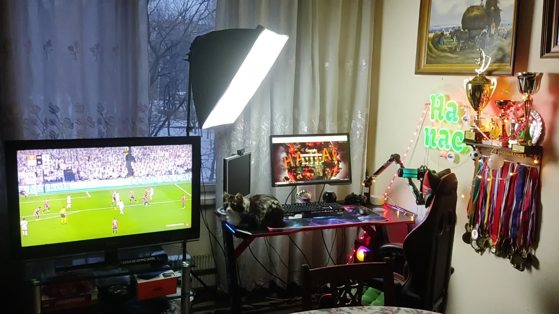 Вечерняя материя