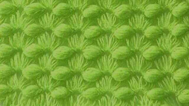 Узор c шишечками