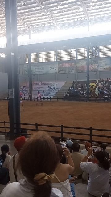 Слон знает, где центр мишени 🎯Что скрывает шоу слонов в Nong Nooch?