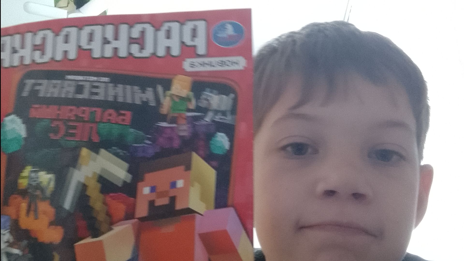 Обзор раскраски по маи́крафт багряный лес