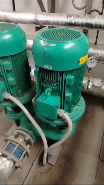 Свистят подшипники электродвигателя насоса Wilo