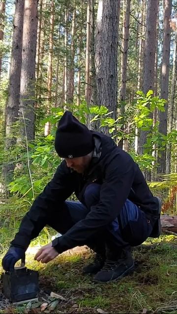 Когда просыпаешься на природе  #shorts  #природа  #юмор #отдых