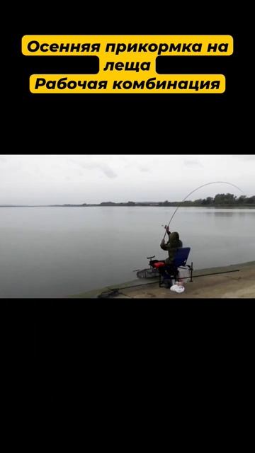 Осенняя прикормка на лещаРабочая комбинация#shorts #рыбалка #фидер #лещ #осень