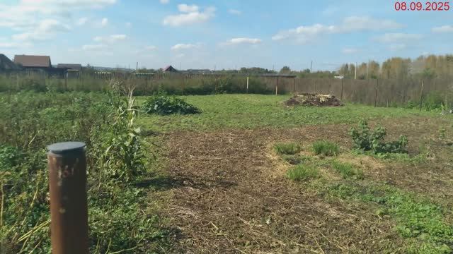 Собираем урожай. Огородные работы. Усадьба