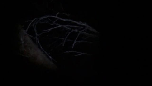 Что скрывается в тёмной башне, залезли на старую заброшенную башню, вид с высоты птичьего полёта