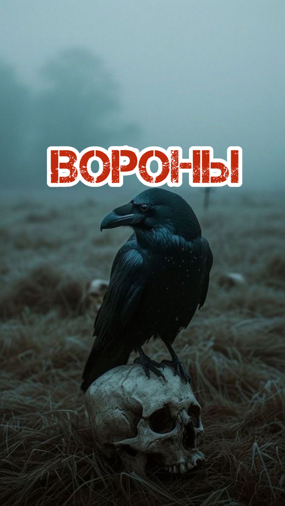 ВОРОНЫ